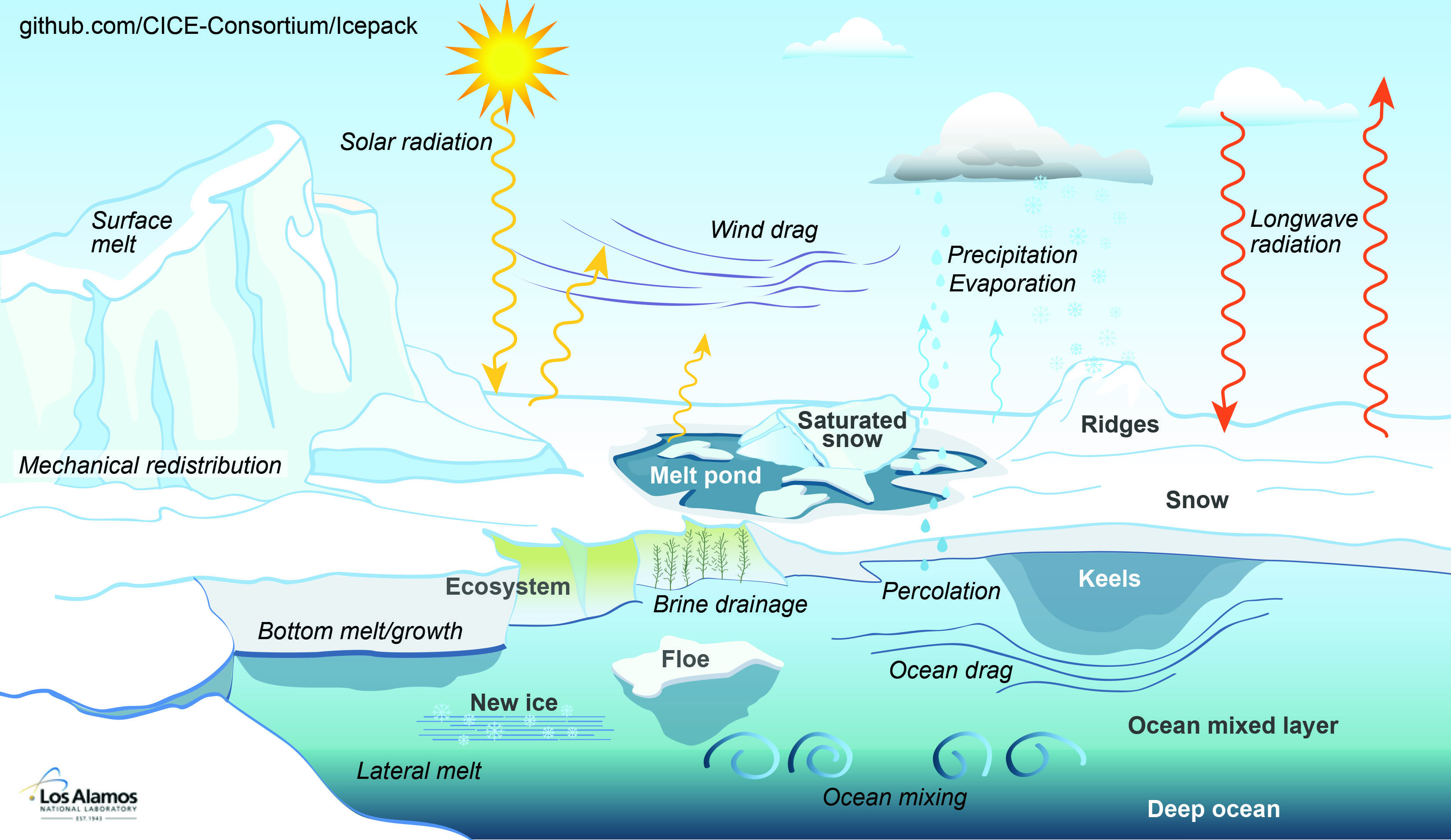 The Challenges and Opportunities of One-size-fits-all Sea-ice Models | SIAM