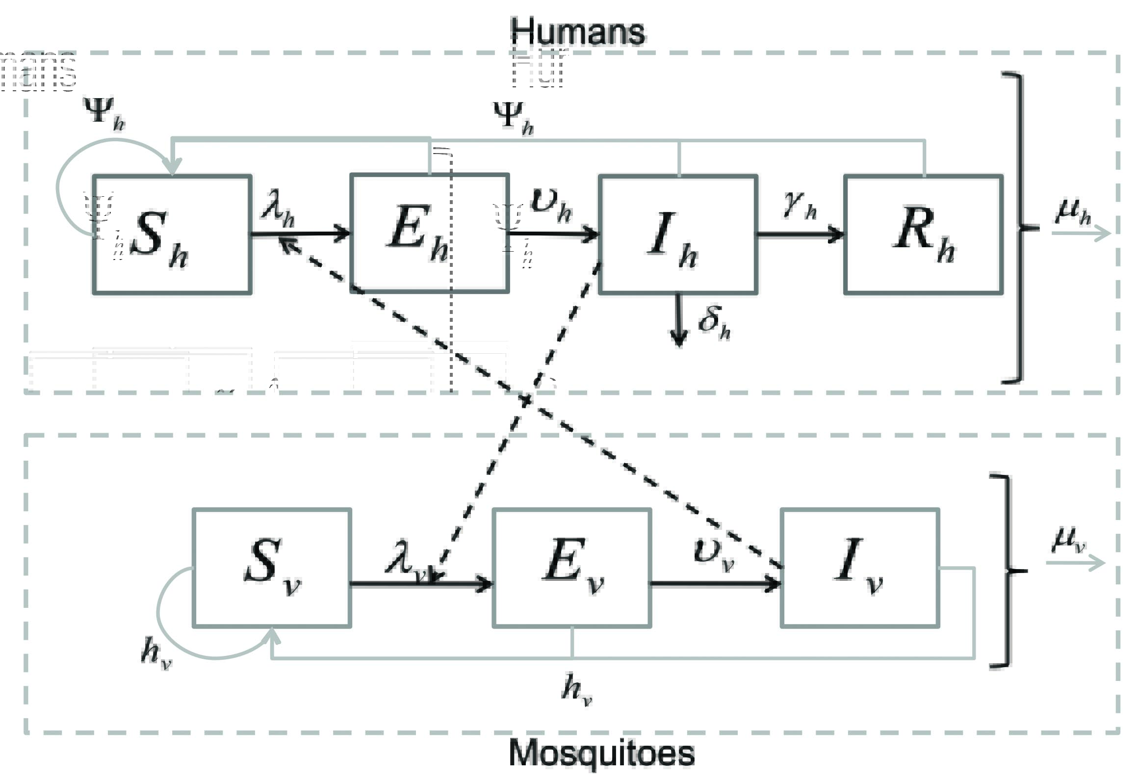 Mathematical Models for Fighting Zika Virus | SIAM