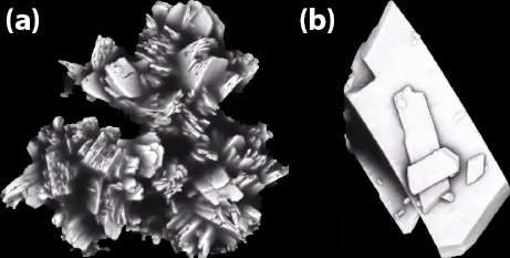 Texture in Microscopy Images Provides Insight into Material Processing ...