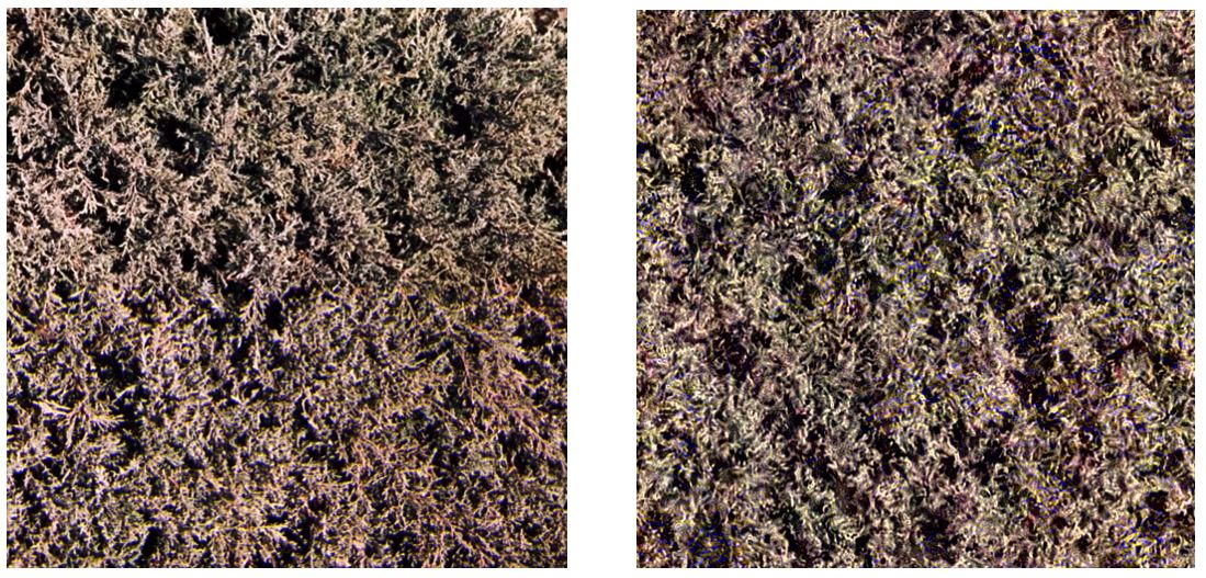 Exemplar-Based Texture Synthesis: Are Neural Networks the Solution? | SIAM