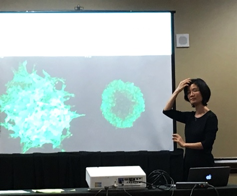 Modeling Collective Cancer Cell Invasion | SIAM