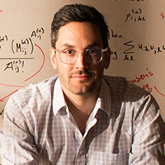 Networks, Dynamics, and Prestige: How Hierarchies Emerge from ...