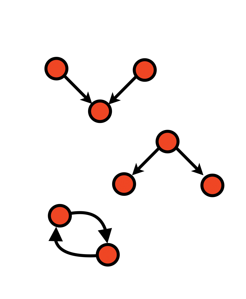 Exploring Connectivity in the Brain’s Network of Neurons | SIAM