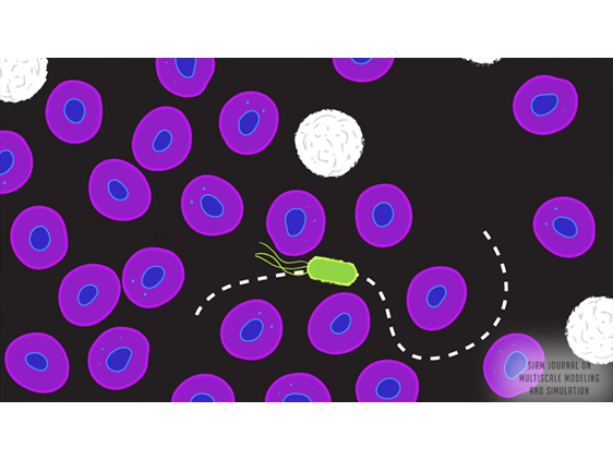 Multiscale Modeling and Simulation | SIAM