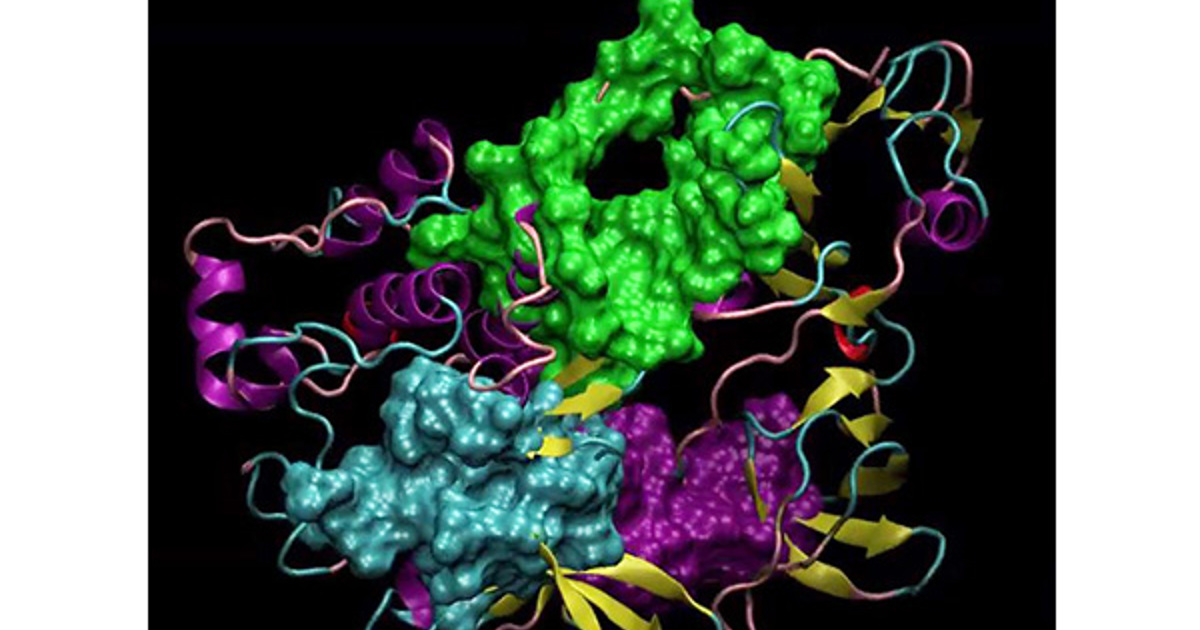 Structure-based Drug Discovery and Ensemble Docking for SARS-COV-2 ...