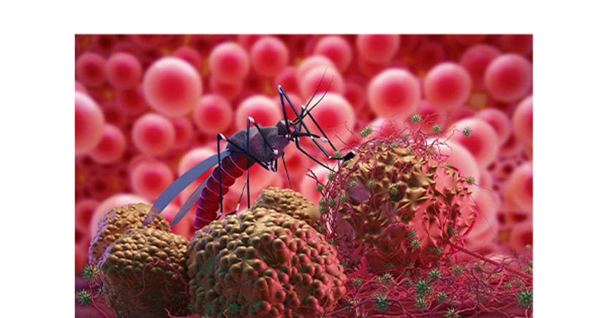 Modeling and Analyzing Dengue Fever Transmission with Time Delays | SIAM