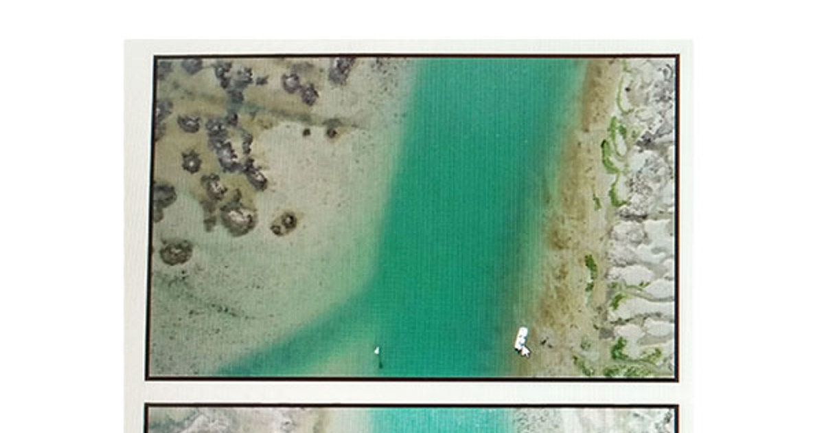 Pattern Formation in Intertidal Oyster Reefs | SIAM