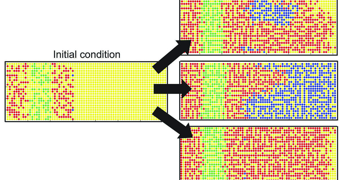 Tracing Genealogy Within an Invasion Wave | SIAM