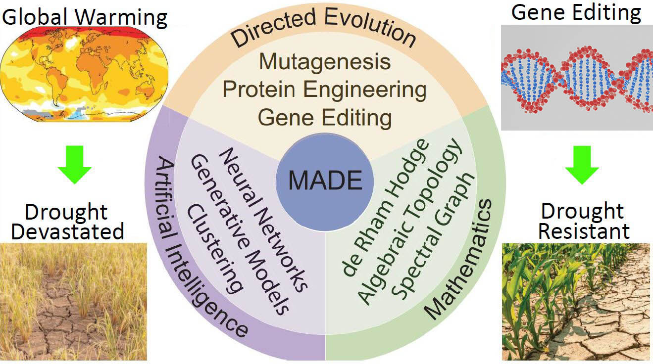 Mathematics-assisted Directed Evolution and Protein Engineering | SIAM