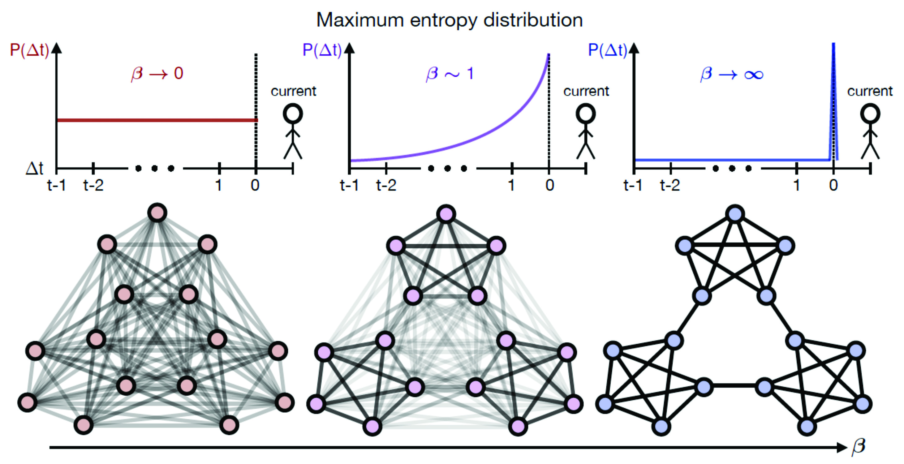 Understanding Knowledge Networks in the Brain | SIAM
