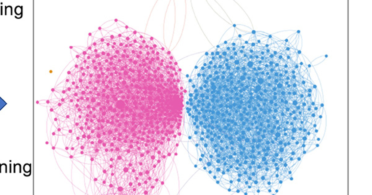 Understanding Social Network Echo Chambers and Polarization | SIAM
