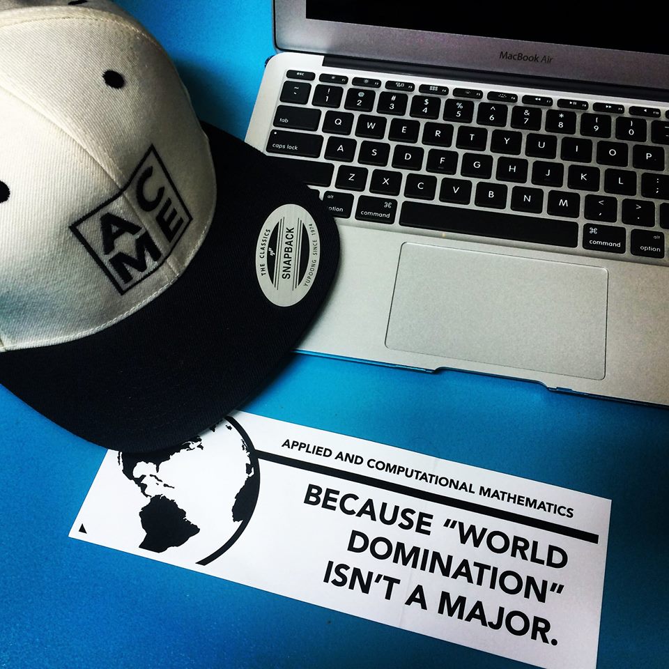 Applied and Computational Mathematics: A New Curriculum for 21st ...