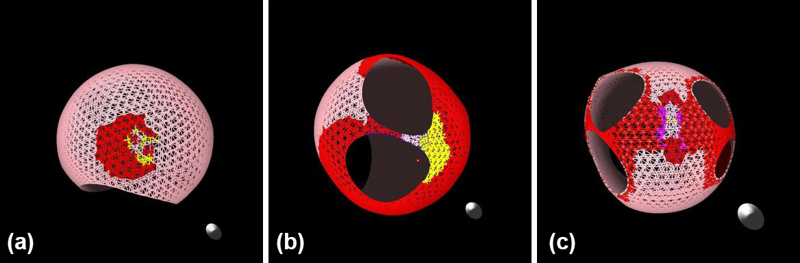 Dynamic Left Atrium Model Sheds Light on Supraventricular Tachycardia ...