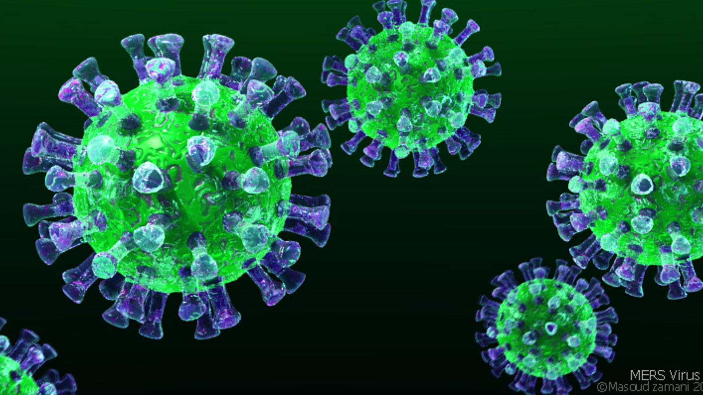 Modeling the MERS Epidemic | SIAM