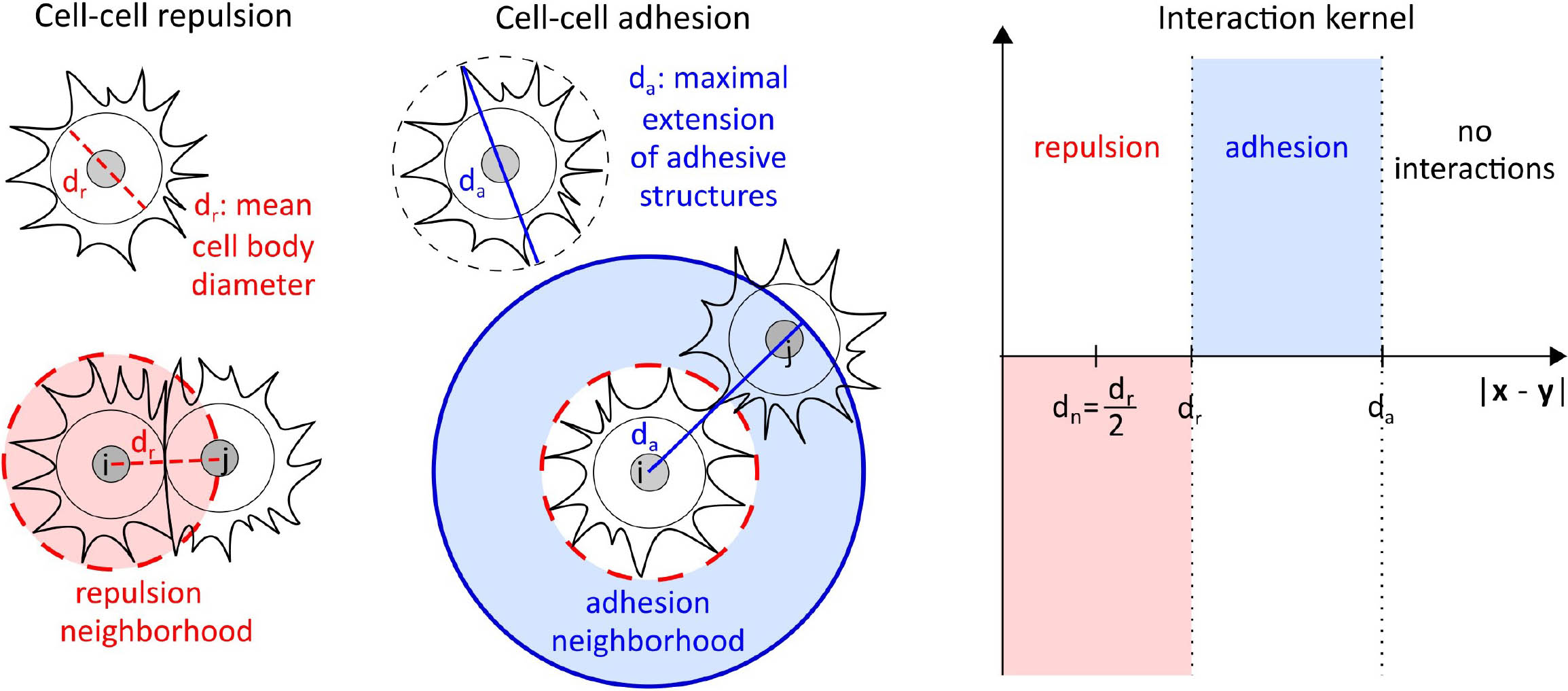 Aggregation-Diffusion Equations for Collective Behavior in the Sciences ...