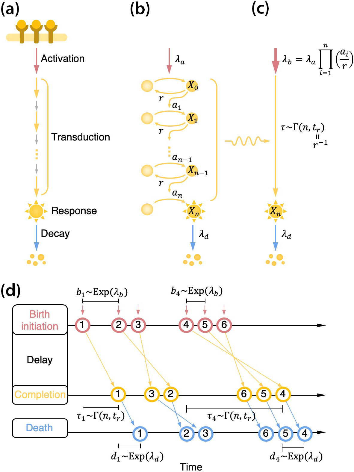 Systematic Inference Identifies Major Source of Heterogeneity in Cell ...