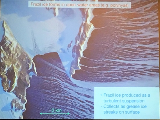 Studying Frazil-ice Dynamics with Population Models | SIAM