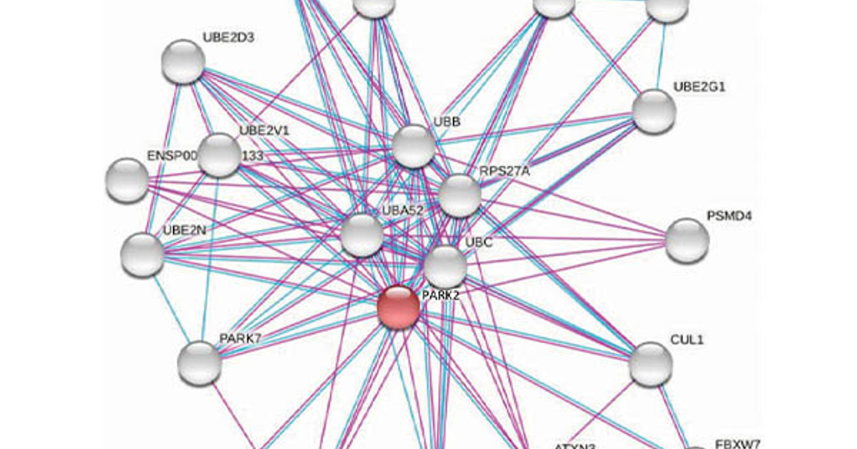 Building a Mathematical Toolbox for Biological Network Analysis | SIAM