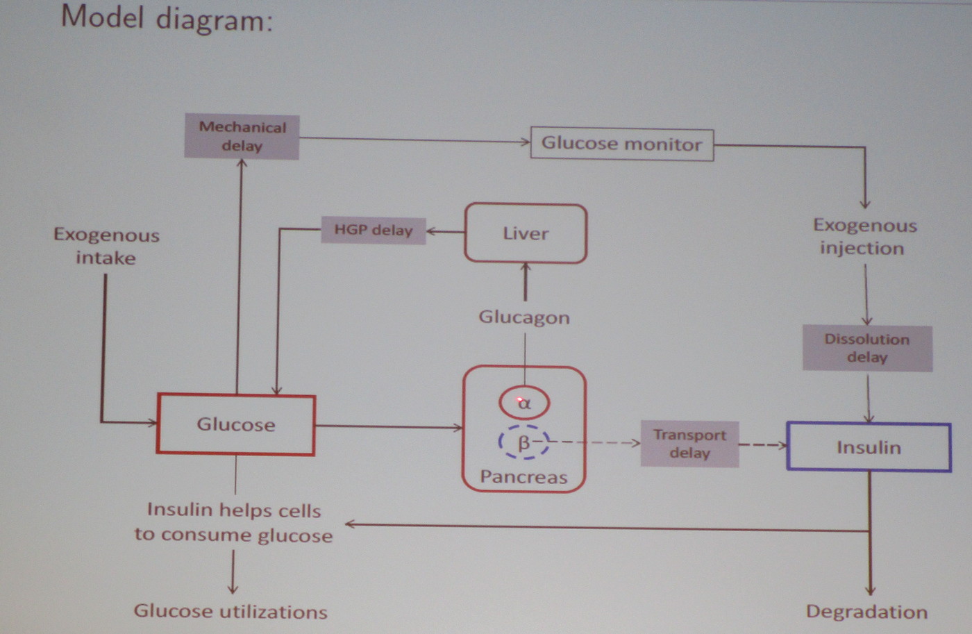 Integrated System for an Artificial Pancreas Could Improve Quality of ...