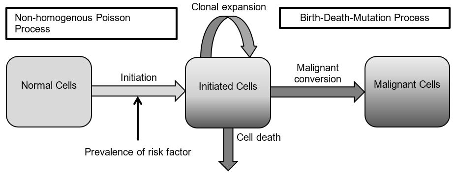 Bridging the Gap between Cancer Risk-factor Prevalence and Cancer ...