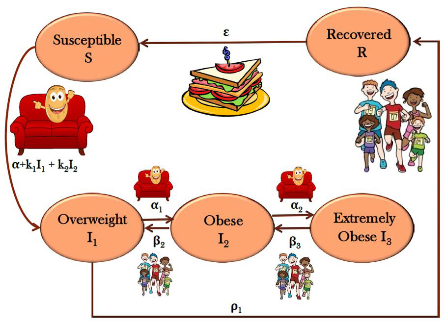 SIR Model Helps Monitor Childhood Obesity in Schools | SIAM