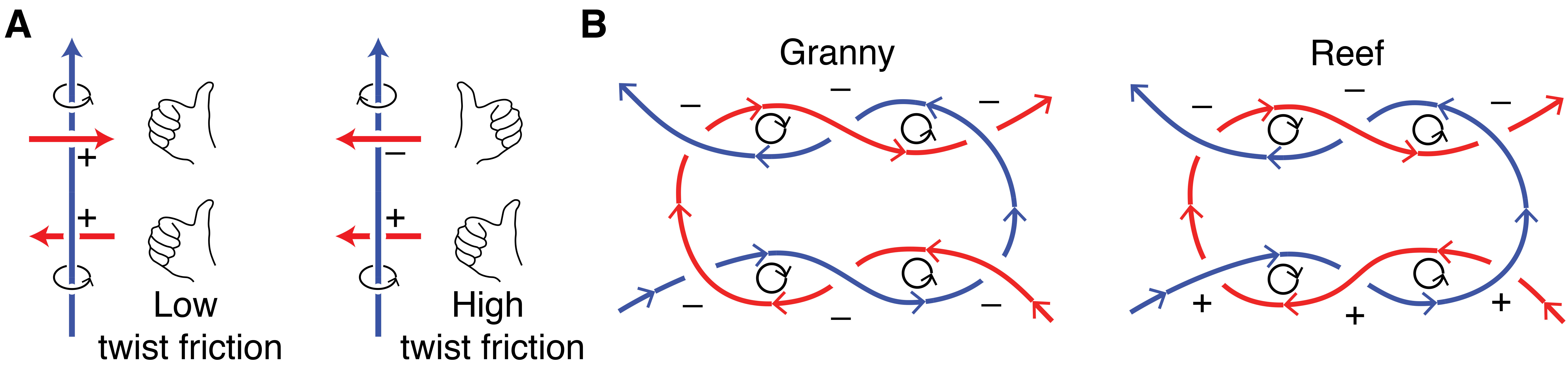 Topological Knot Mechanics | SIAM